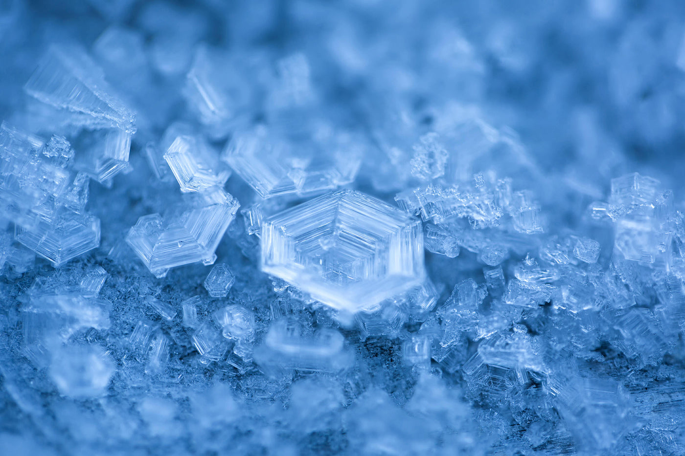 Blue Ice Fragrance Oil – Wellington Fragrance
