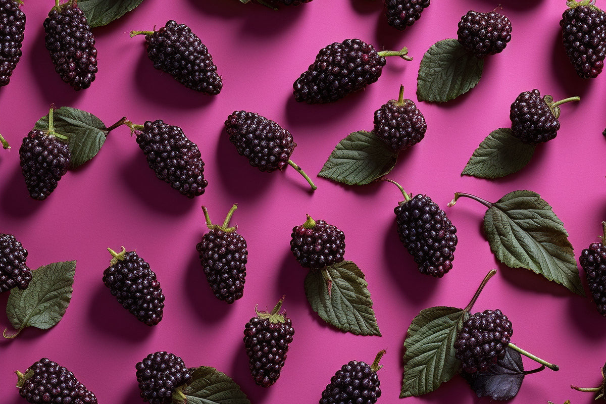 Mulberry Fragrance Oil – Wellington Fragrance