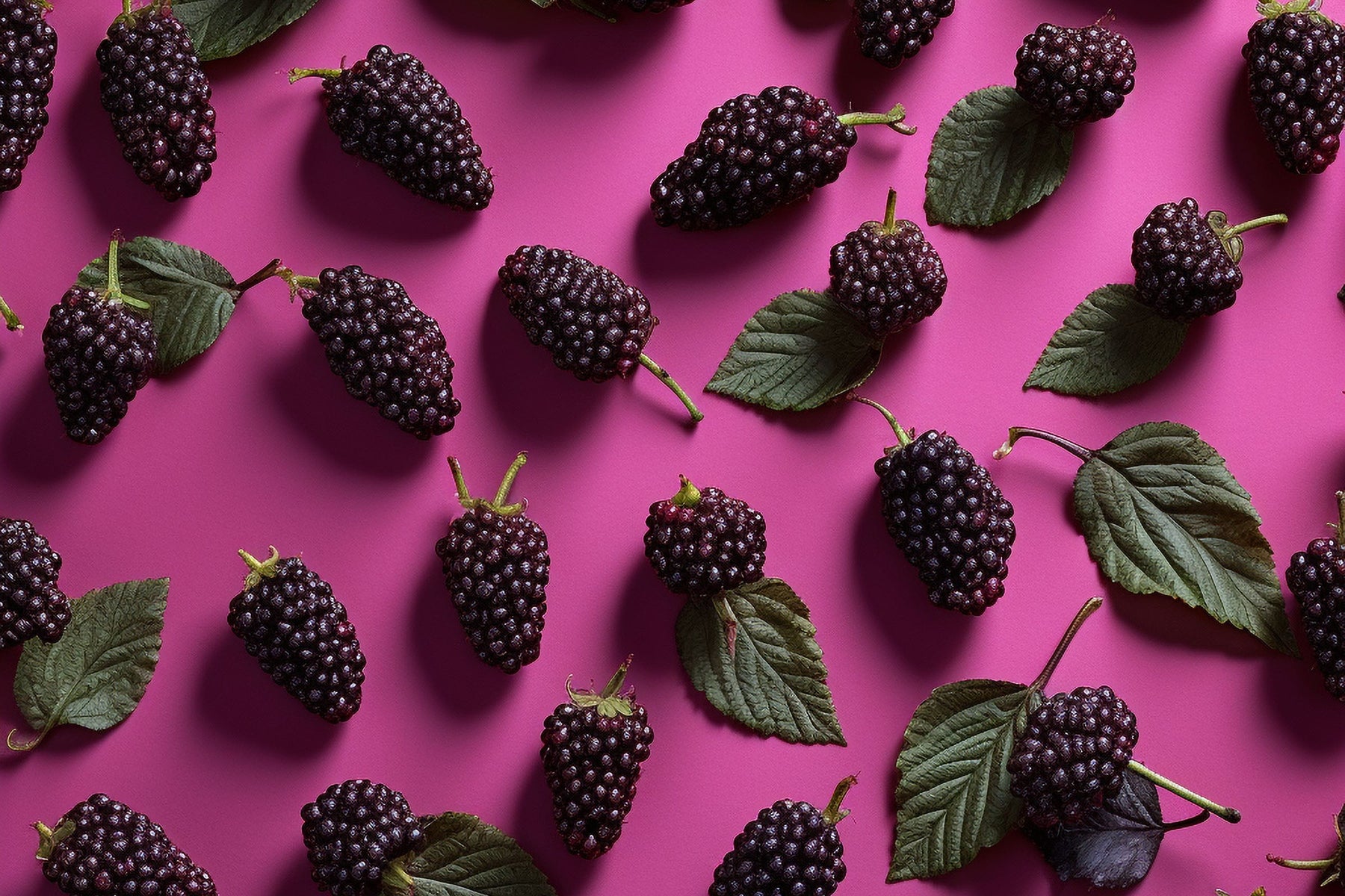 Mulberry Fragrance Oil – Wellington Fragrance
