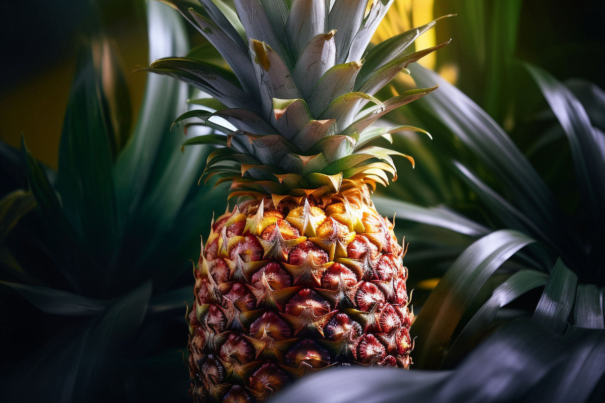 Pineapple Fragrance Oil – Wellington Fragrance